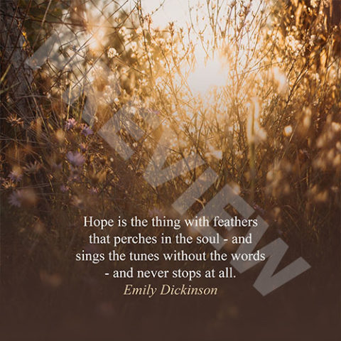"Hope is the thing with feathers that perches in the soul - and sings ...