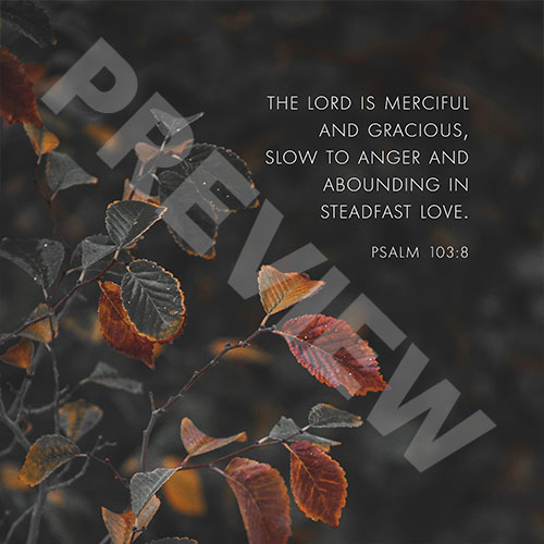 Psalm 103 8 Innovative Faith Resources